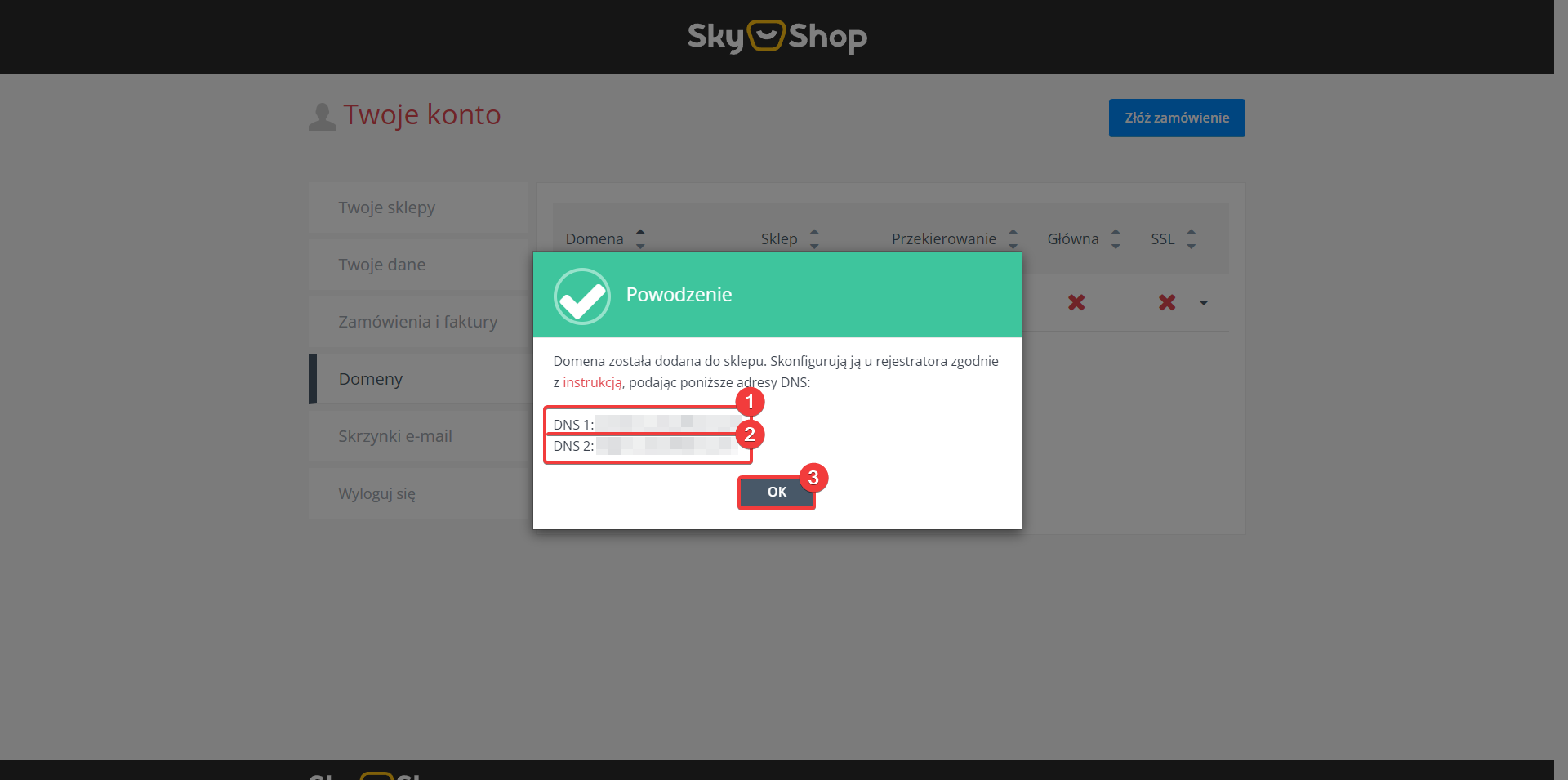 Jak podpiąć do sklepu własną domenę z obsługą e-mail na serwerze Sky-Shop? - Pomoc & FAQ Sky-Shop